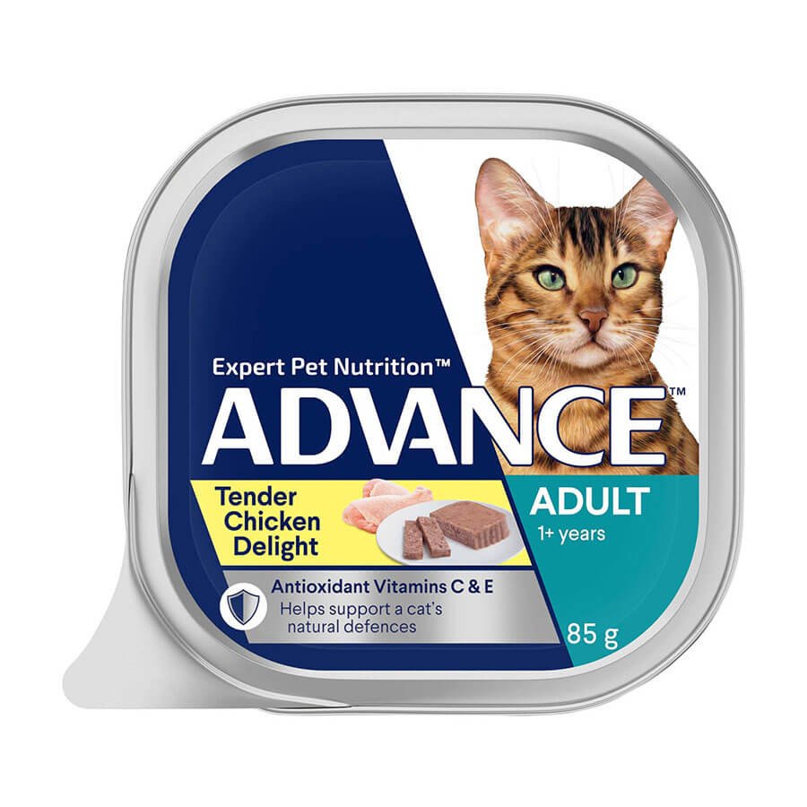 Advance Adult Tender Chicken Delight Wet Cat Food – CatZone